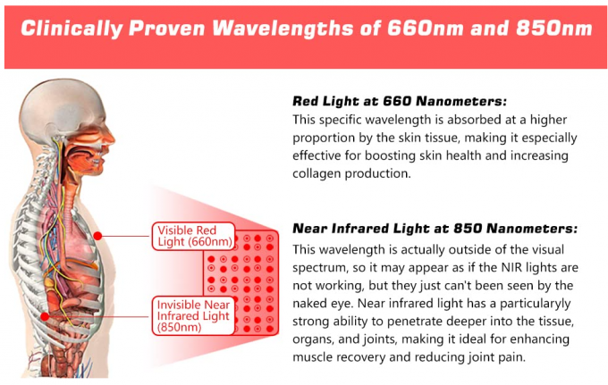 Portable Rechargeable 1000W LED Light Therapy Machine Nir Infrared